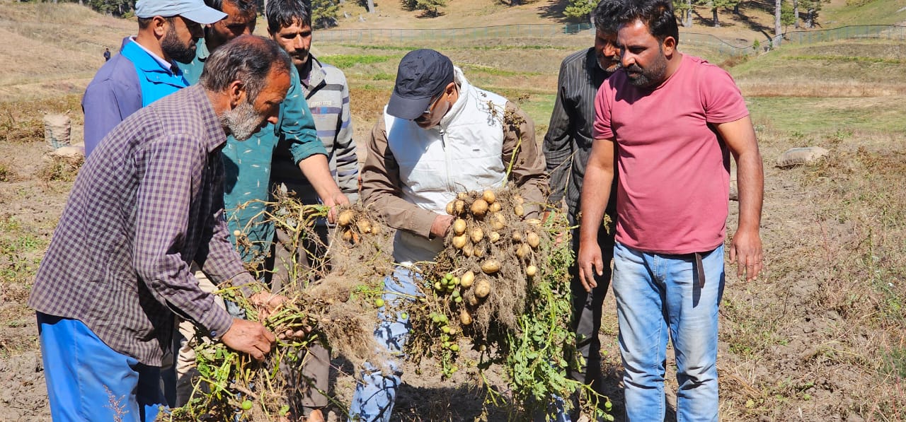 Dir Agri visits ‘Potato Seed Multiplication Farm in’ B’la – Rising Kashmir