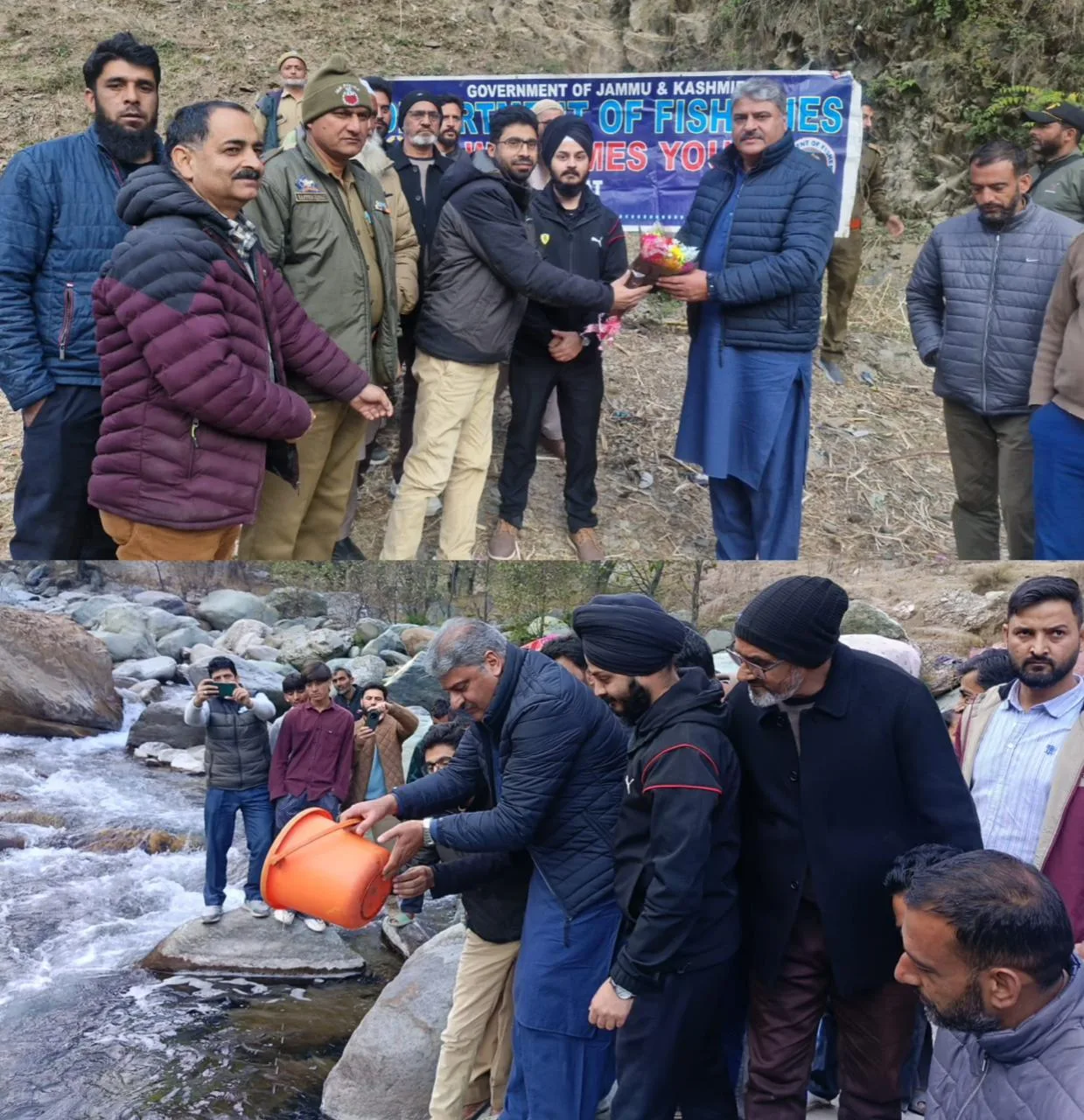 MLA Sajjad Shaheen leads stocking of genetically improved Brown Trout ...