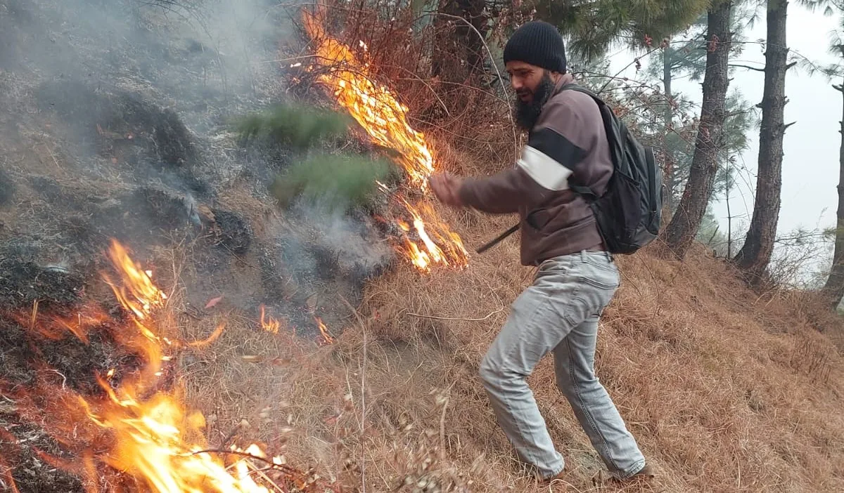 Ground Fire Erupts in Dara Harwan Wildlife Unit – Rising Kashmir