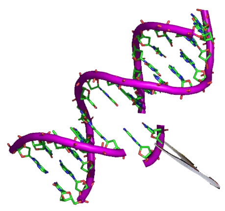 Genetic Engineering: Manipulation of an organism’s genes using ...